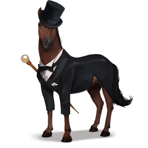 Platon, Riding Horse Loony Doctor #8841538 - Howrse