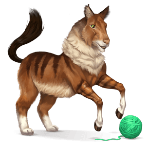 The pet horses's special skills - Howrse