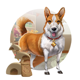 The pet horses's special skills - Howrse